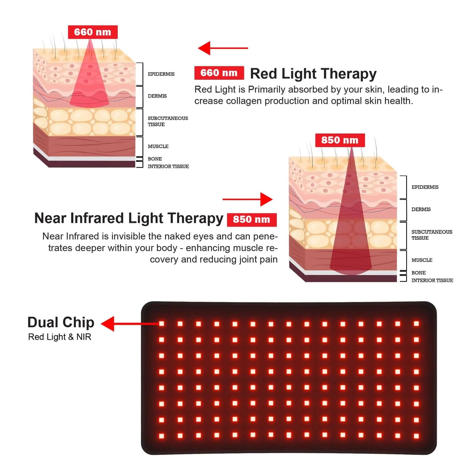 Red Light Therapy Pad for Pain Relief | Honeyberg Official – Grounding Mat